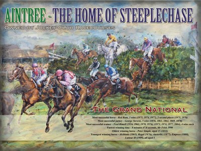 Aintree Metal Sign : Duke Video